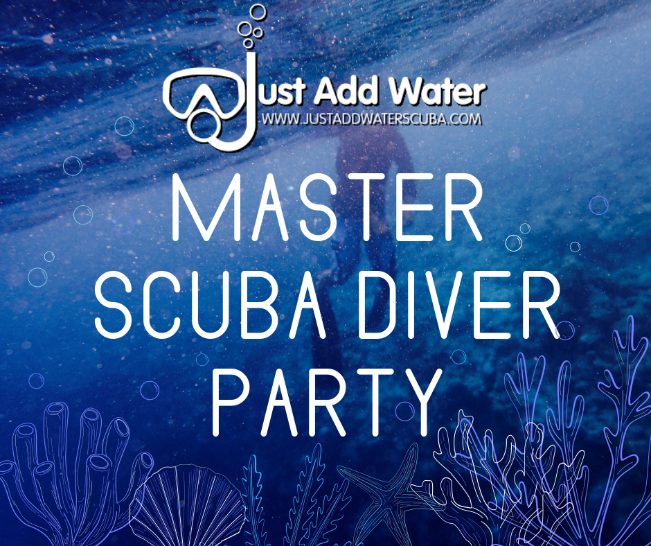 Master Diver Party