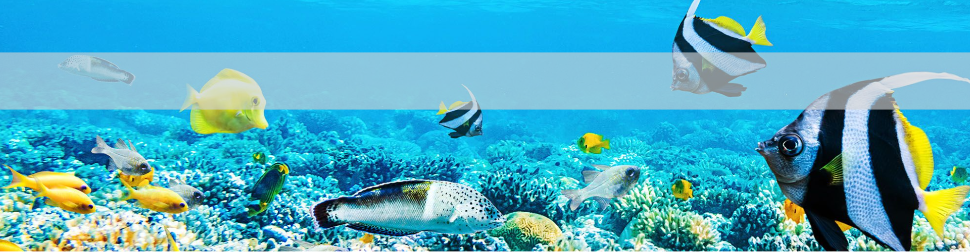 Welcome to Just Add Water